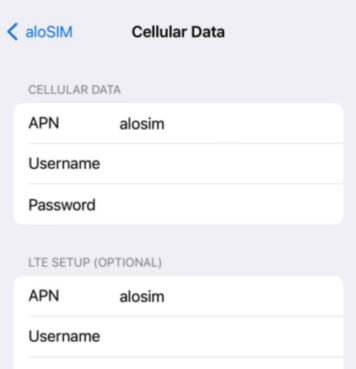 Data eSIM iPhone settings (with examples) | aloSIM