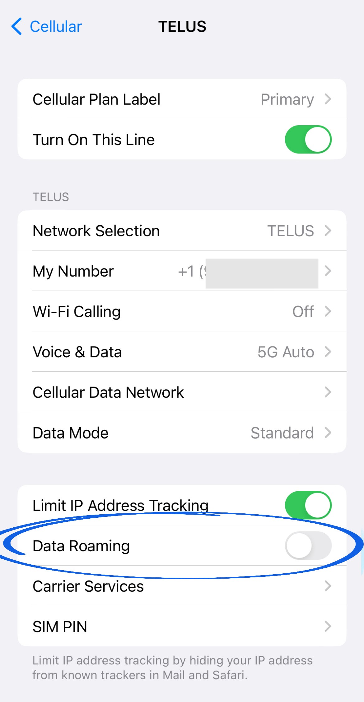 Data ESIM IPhone Settings with Examples AloSIM Data ESIM IPhone Settings with Examples AloSIM