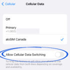 Data eSIM iPhone settings (with examples) | aloSIM
