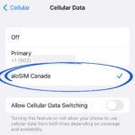 Data eSIM iPhone settings (with examples) | aloSIM