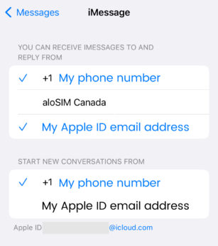 Data eSIM iPhone settings (with examples) | aloSIM