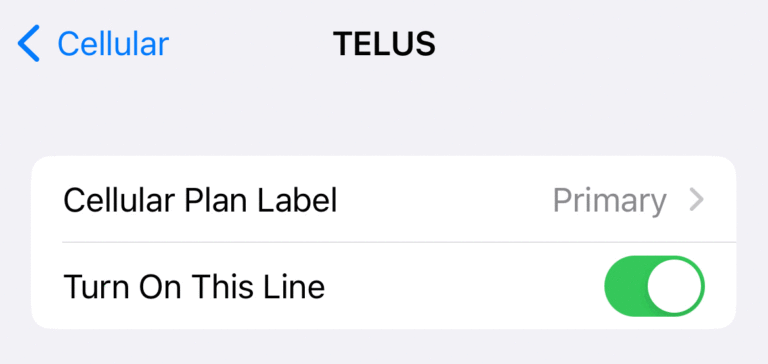 Data eSIM iPhone settings (with examples) | aloSIM
