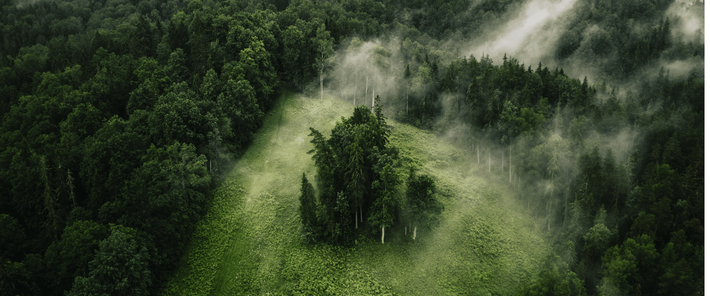 Locations Archive | aloSIM